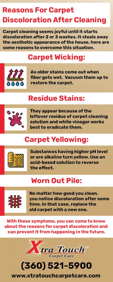 Reasons For Carpet Discoloration After Cleaning | Vancouver, WA